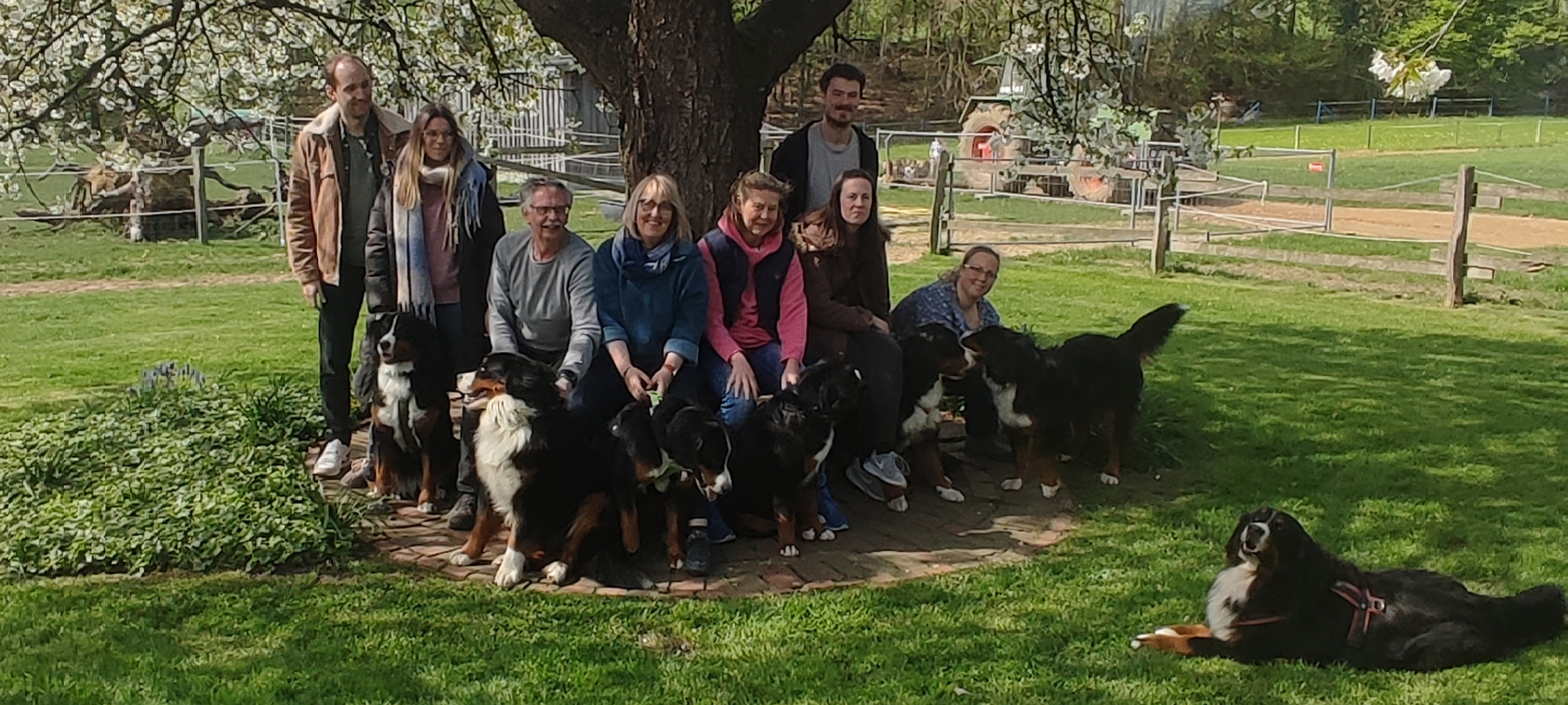 A-Wurf – "Die Berner vom Modexer Turm"